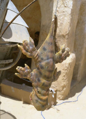 Star Wars Resistance: spuntano i Gorgs... da un'idea di George Lucas