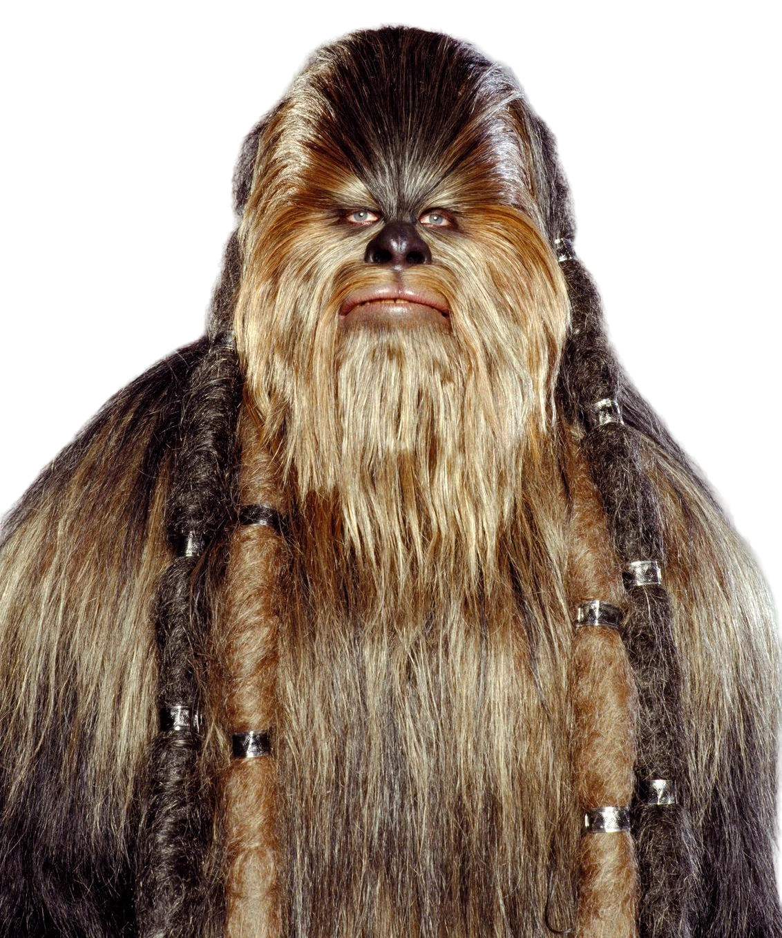*The Official Wookie Fan Club* | Jedi Council Forums