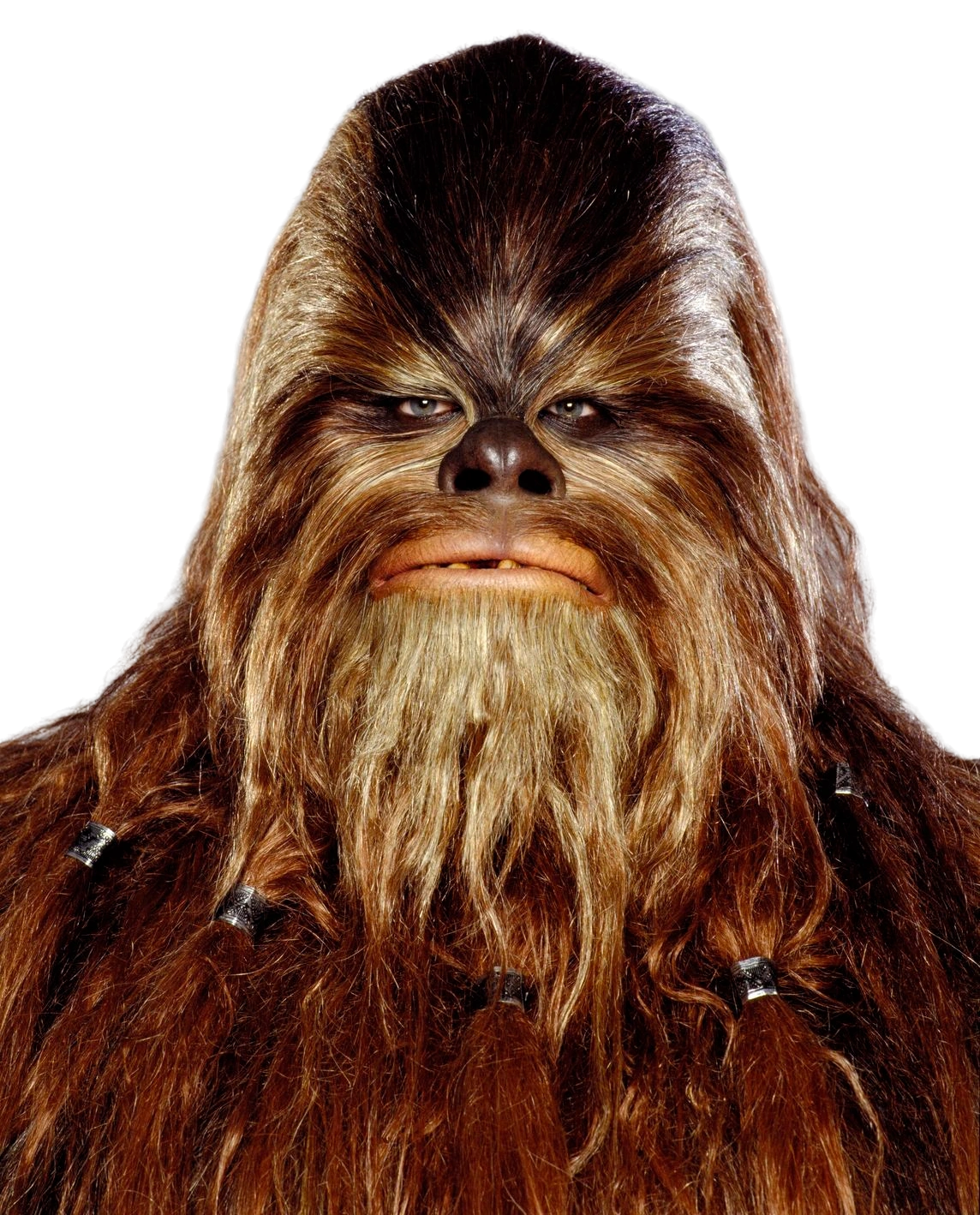 Guanta | Wookieepedia | Fandom