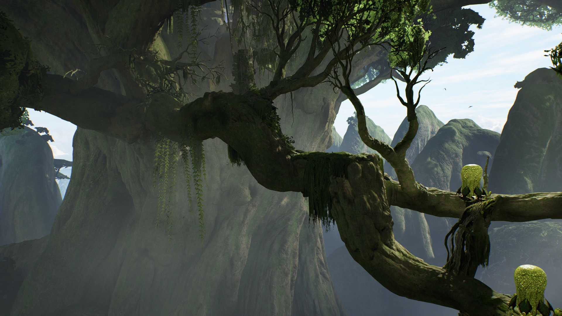 Gnarled Heights | Wookieepedia | Fandom