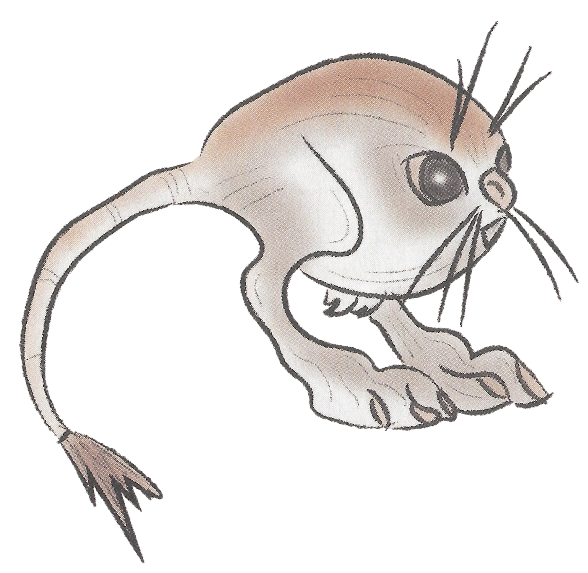 Tooke | Wookieepedia | Fandom