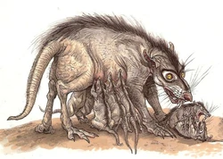 Womp Rat | Star Wars Wiki | FANDOM powered by Wikia