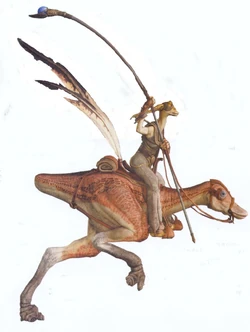 Kaadu | Star Wars Wiki | FANDOM powered by Wikia