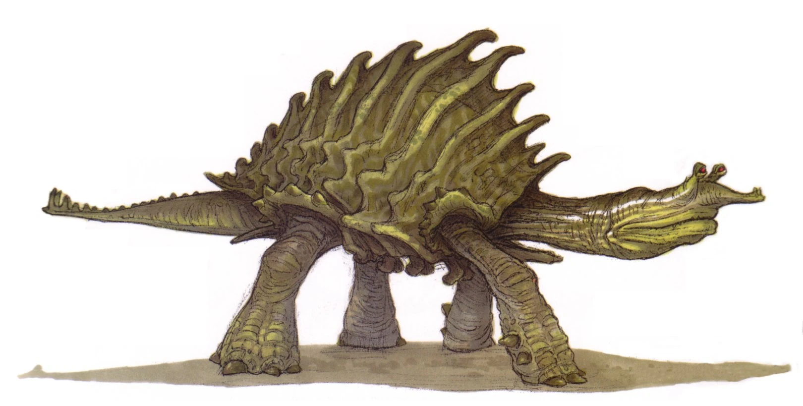 Shiro | Wookieepedia | Fandom