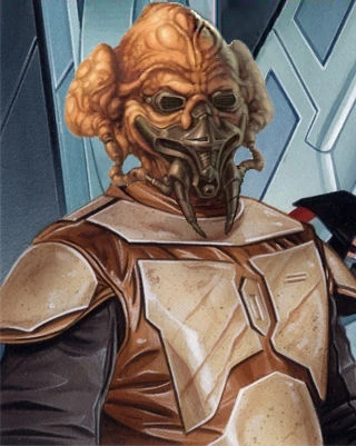 Das Drasek | SWSheets