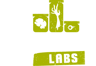 Undead Labs