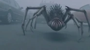Gray Widower | Stephen King's The Mist Wiki | Fandom