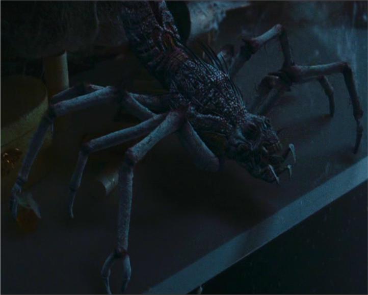 Gray Widower | Stephen King's The Mist Wiki | Fandom