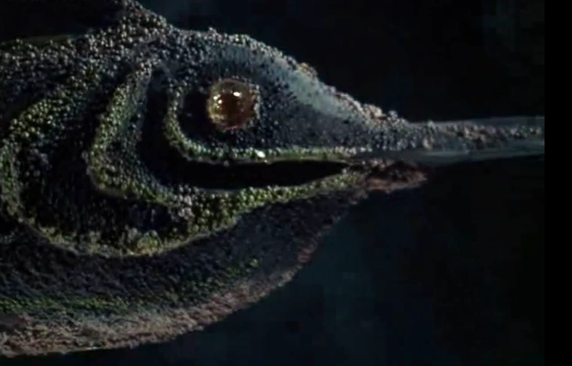 Gargon | Stingray Wiki | Fandom