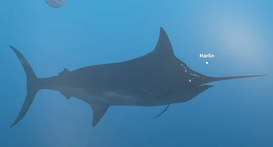 Marlin | Stranded Deep Wiki | Fandom
