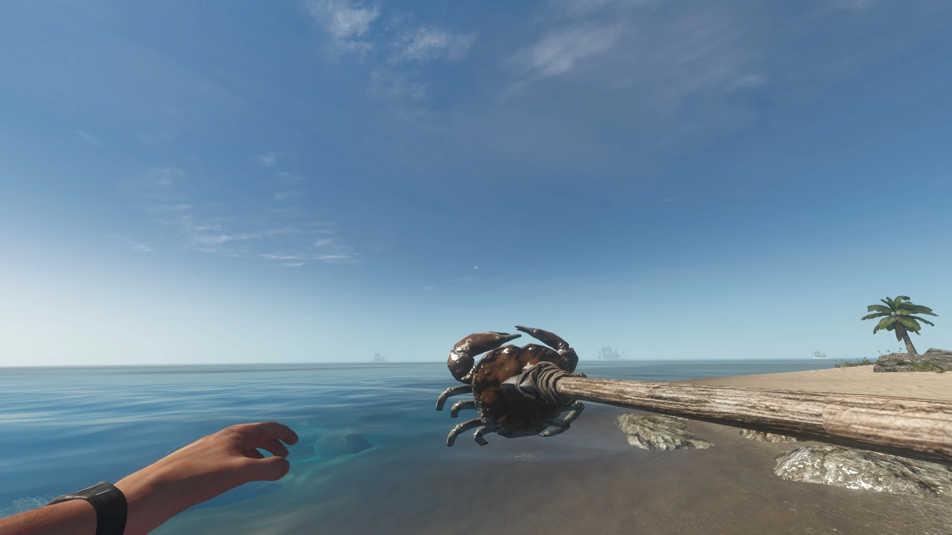 Image - 2015-01-29 00006.jpg | Stranded Deep Wiki | FANDOM powered by Wikia