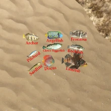 Fish | Stranded Deep Wiki | FANDOM powered by Wikia