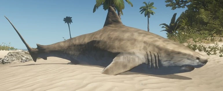 Tiger shark | Stranded Deep Wiki | FANDOM powered by Wikia