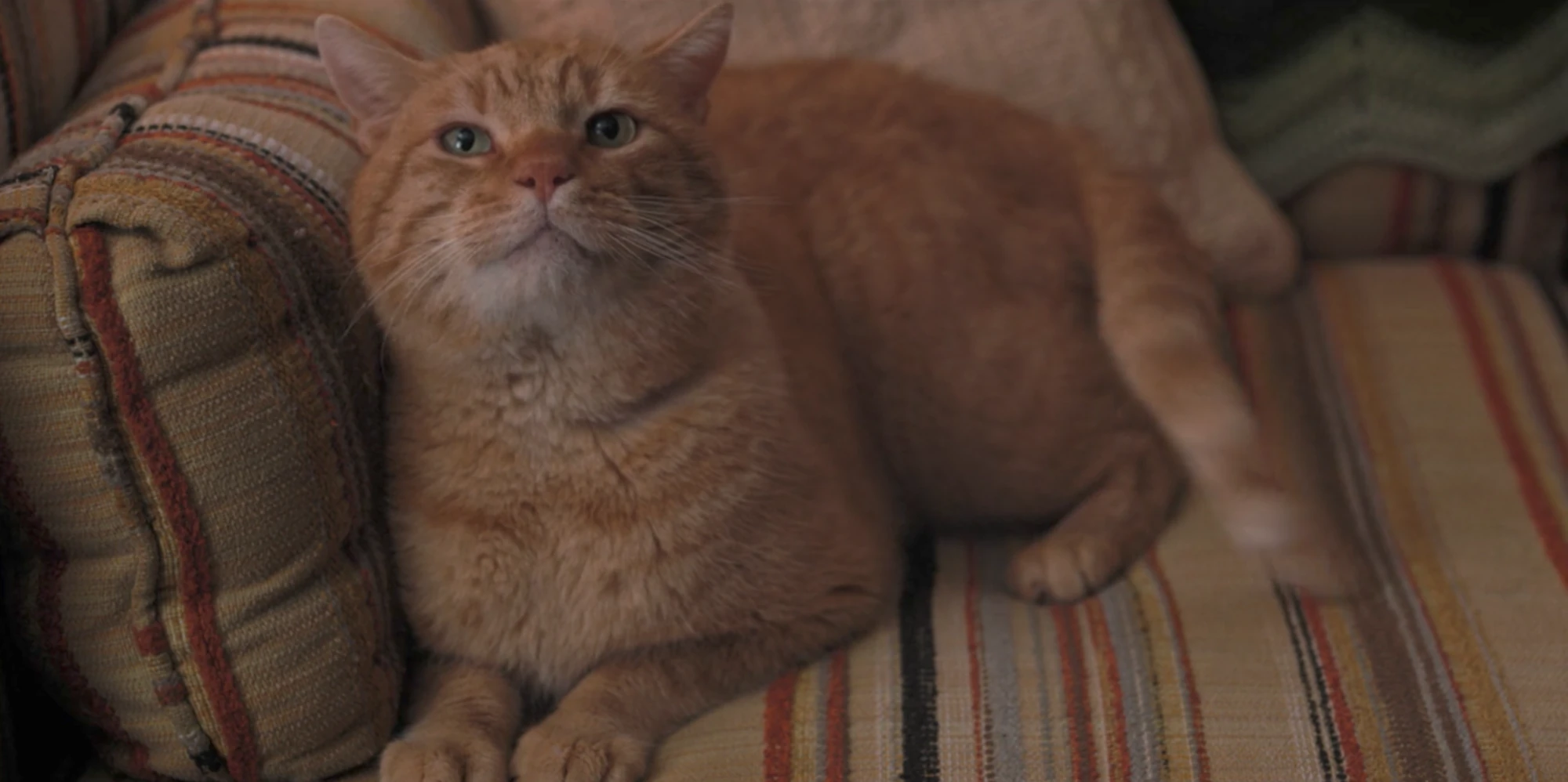 Mews | Stranger Things Wiki | Fandom