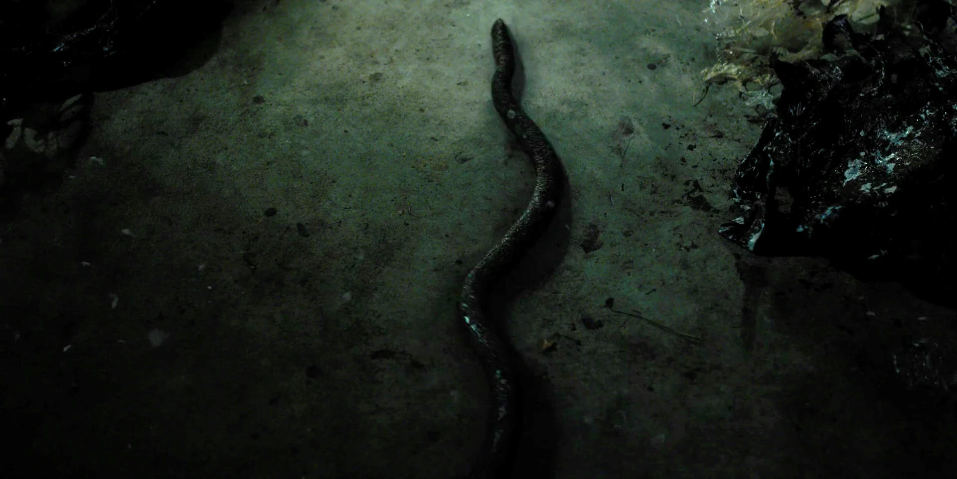 Vines | Stranger Things Wiki | Fandom