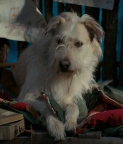 Chester | Stranger Things Wiki | FANDOM powered by Wikia