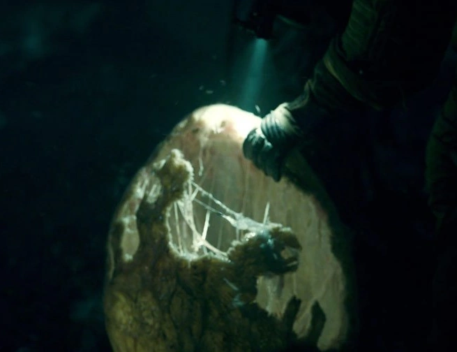 Upside Down Egg | Stranger Things Wiki | Fandom
