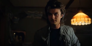 Steve Harrington | Stranger Things Wiki | Fandom