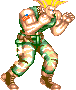 Street Fighter II: The World Warrior/Characters/Grid/Legacy | Street ...
