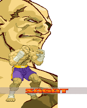 Street Fighter Alpha 3/Characters/CharSelect | Street Fighter Sprites ...