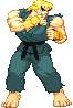 Street Fighter Alpha 2/Palettes/Ken | Street Fighter Sprites Wikia | Fandom
