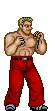 Street Fighter/Taunts | Street Fighter Sprites Wikia | Fandom