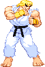 Street Fighter Alpha 2/Palettes/Ken | Street Fighter Sprites Wikia | Fandom