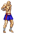 Image - Sagat's Tiger Shot.gif | Street Fighter Wiki | FANDOM powered ...