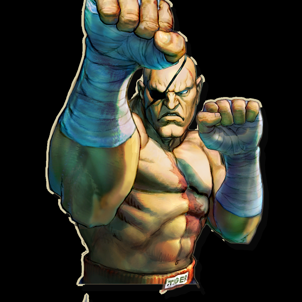 Sagat Street Fighter Wiki Fandom Powered By Wikia