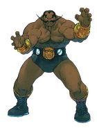 Darun Mister | Street Fighter Wiki | FANDOM powered by Wikia