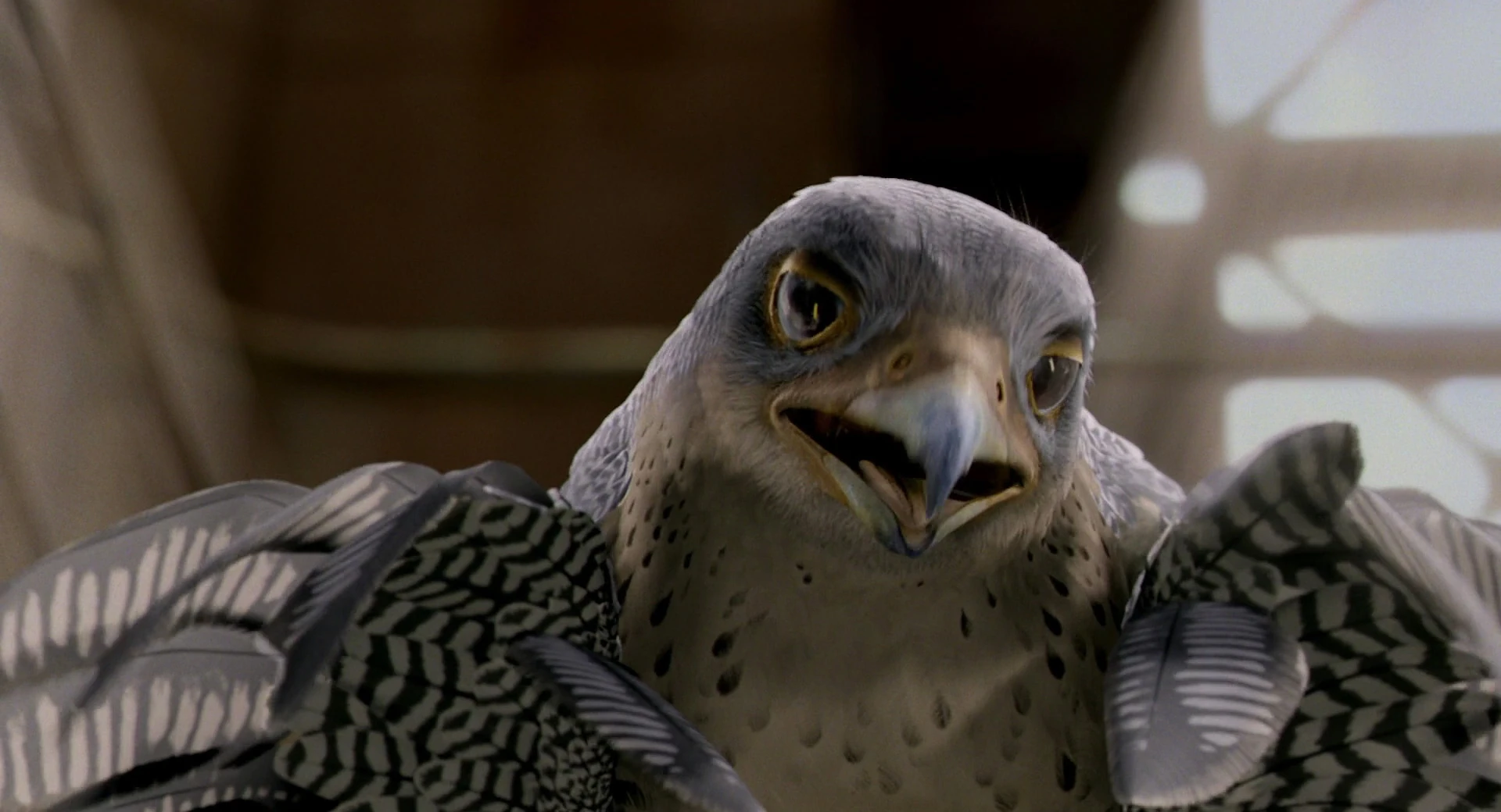 Stuart little falcon - ludaenterprise