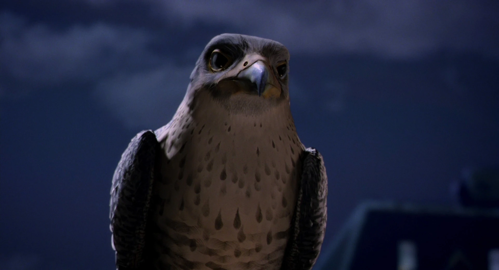 Stuart little falcon - ambernimfa