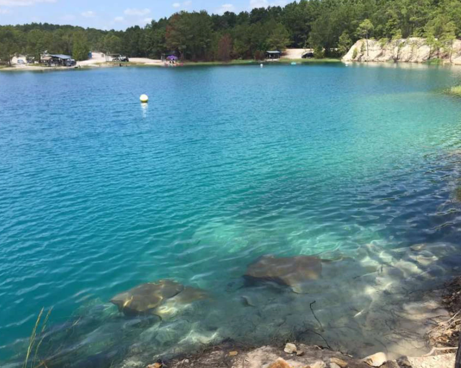 Queen Lagoon | Stupid Wings of Fire Wiki | Fandom