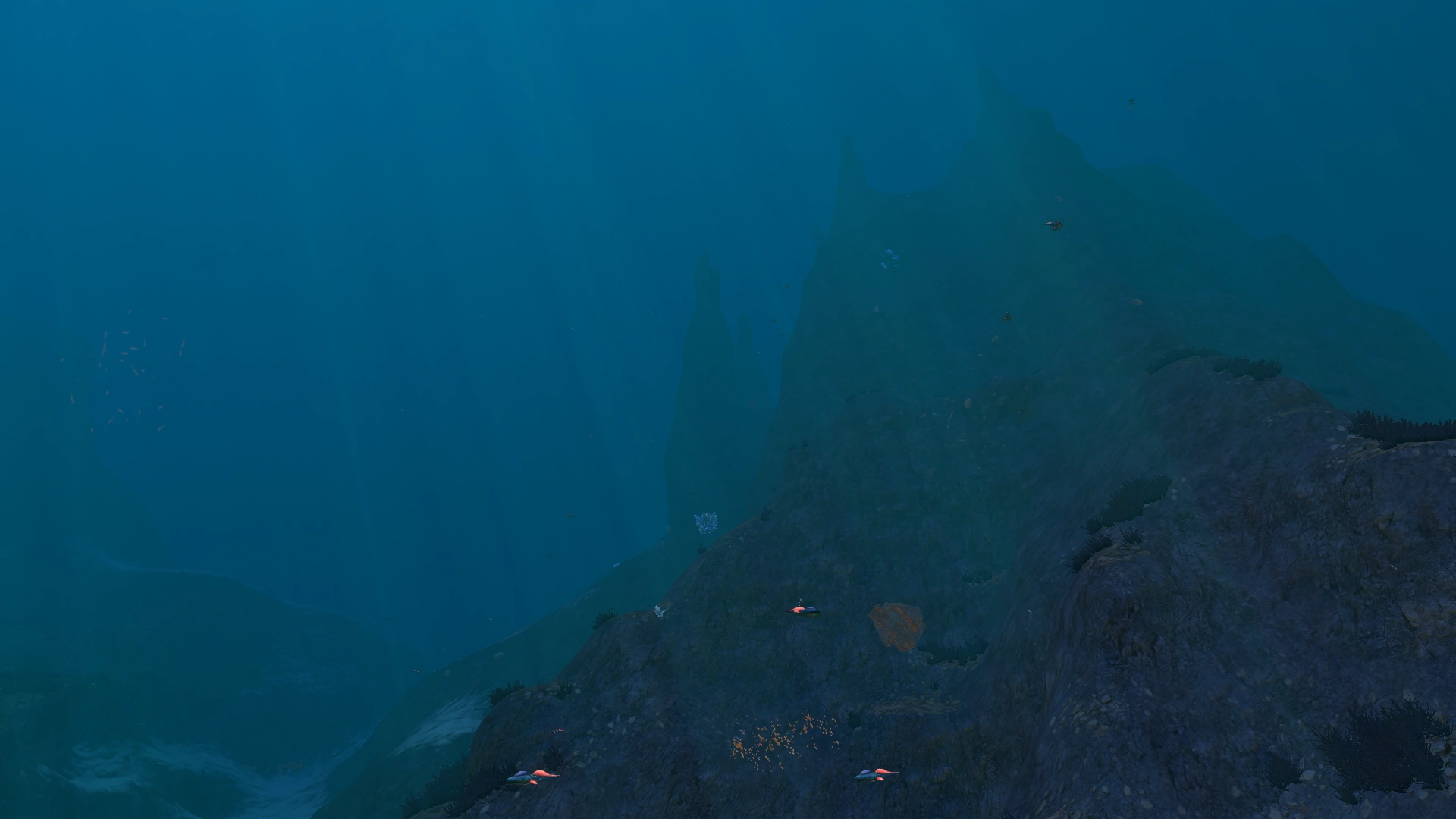 Image - GR Sparse Reef Transition.png | Subnautica Wiki | FANDOM ...