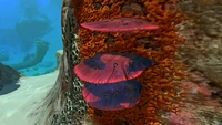 Table Coral | Subnautica Wiki | Fandom
