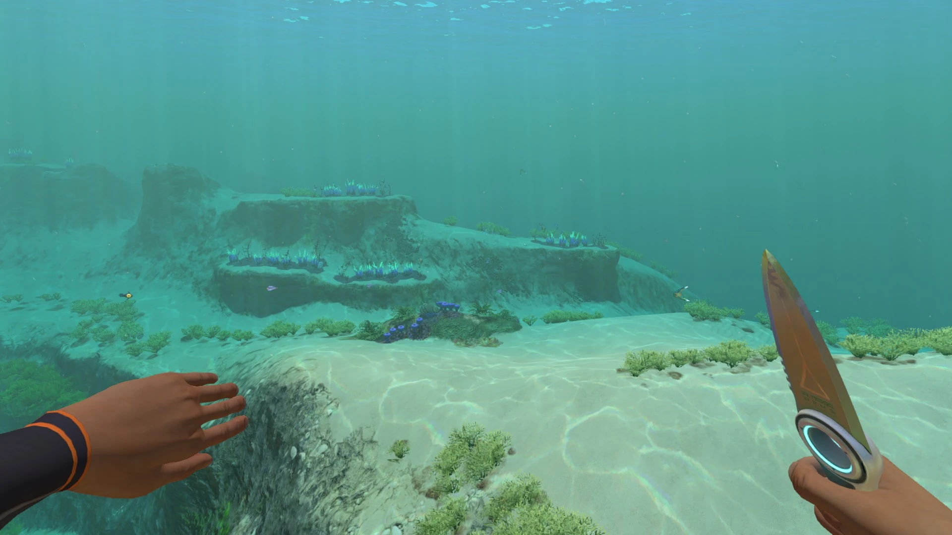 Couteau de survie | Wikia Subnautica | Fandom