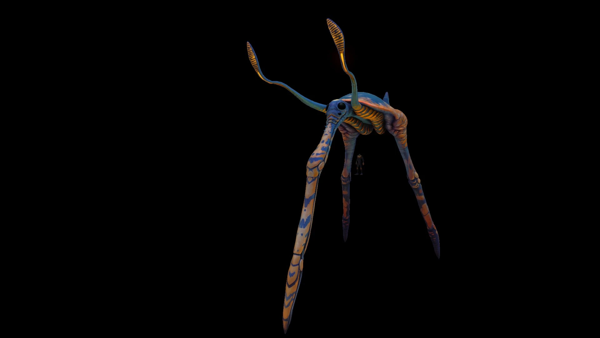 Leviathan Class Organisms | Subnautica Wiki | FANDOM powered by Wikia
