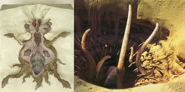 Image - Sarlacc-pit.jpg | Subnautica Wiki | FANDOM powered by Wikia