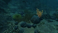 Crag Field | Subnautica Wiki | Fandom