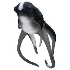 Pez monada | Subnautica Wiki | Fandom