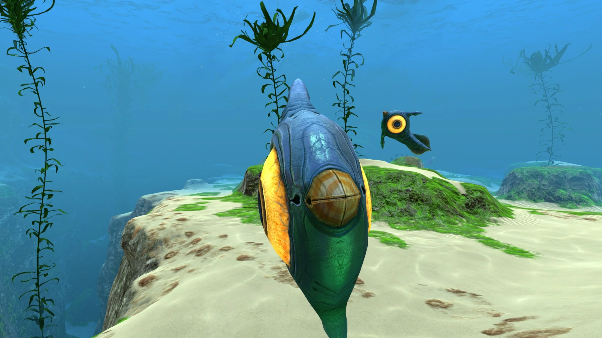 Image - Peeper (8).jpg | Subnautica Wiki | FANDOM powered by Wikia