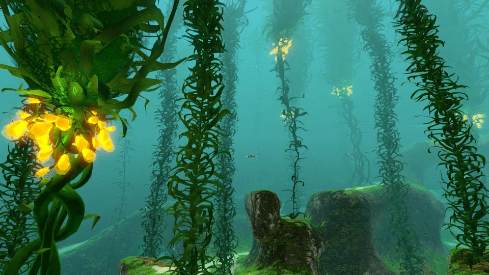 Image - Kelp Forest (27).gif | Subnautica Wiki | FANDOM powered by Wikia