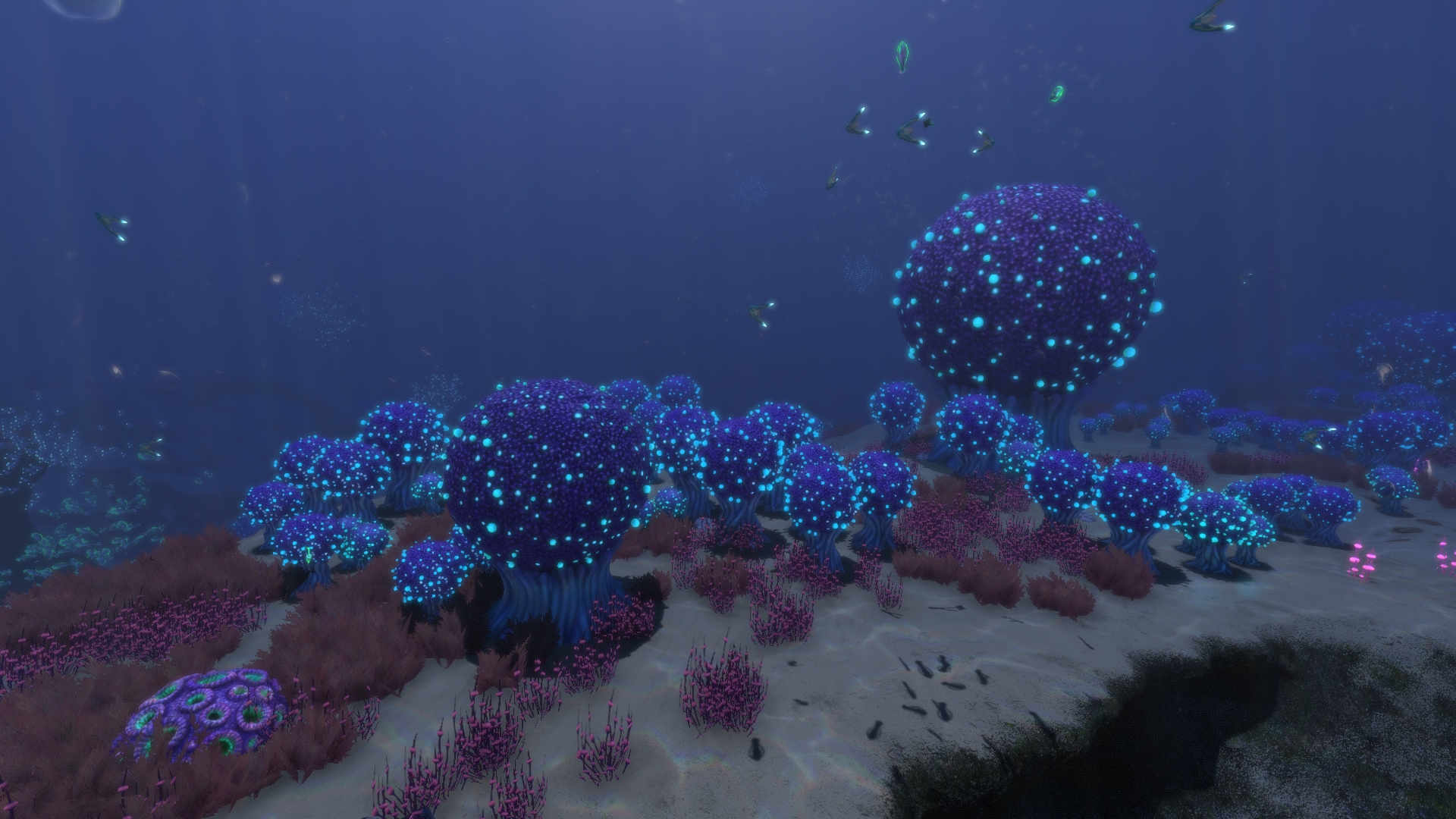 Koosh Zone | Subnautica Wikia | FANDOM powered by Wikia