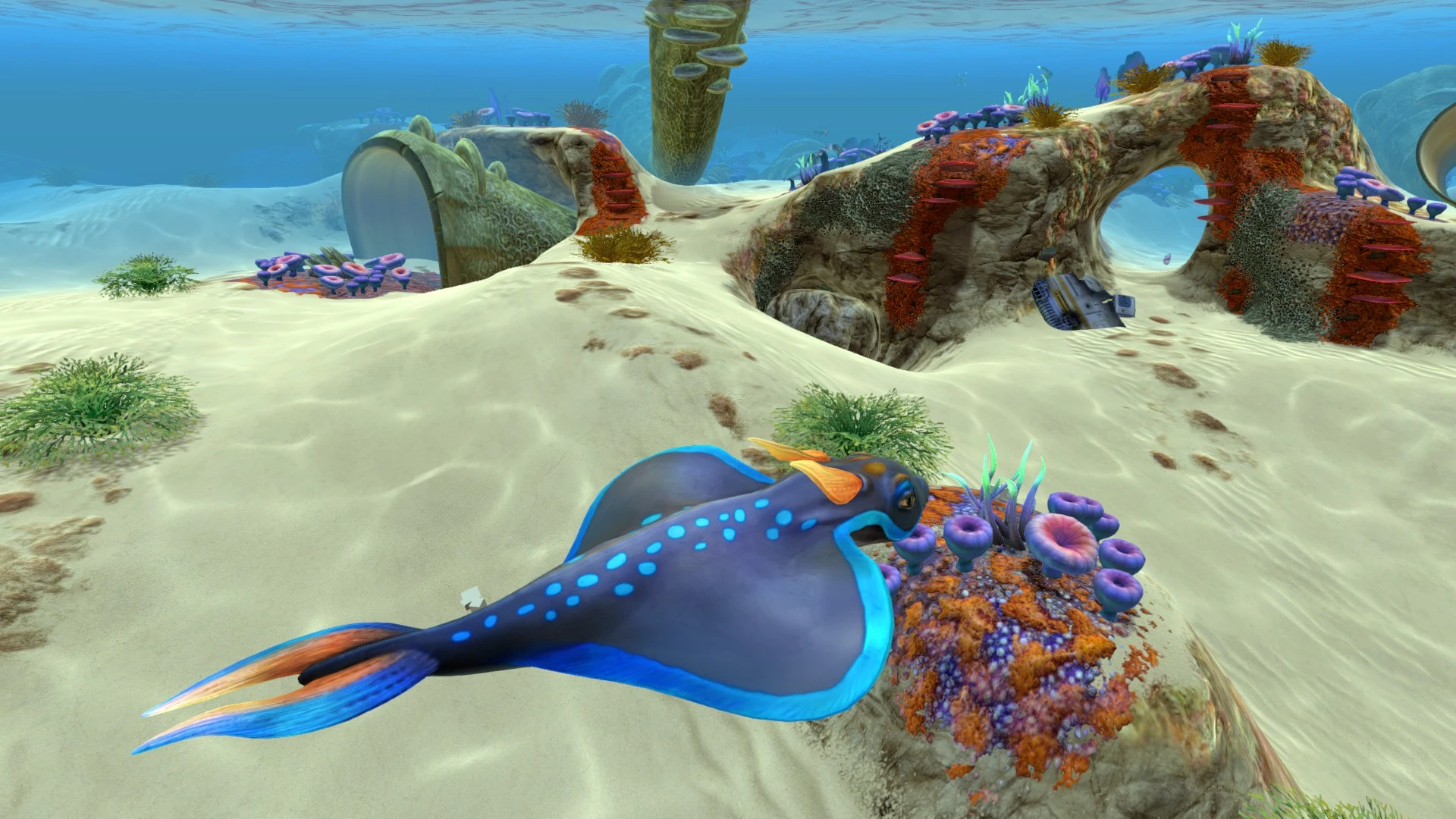 Image - Safe Shallows (15).jpg | Subnautica Wiki | FANDOM powered by Wikia