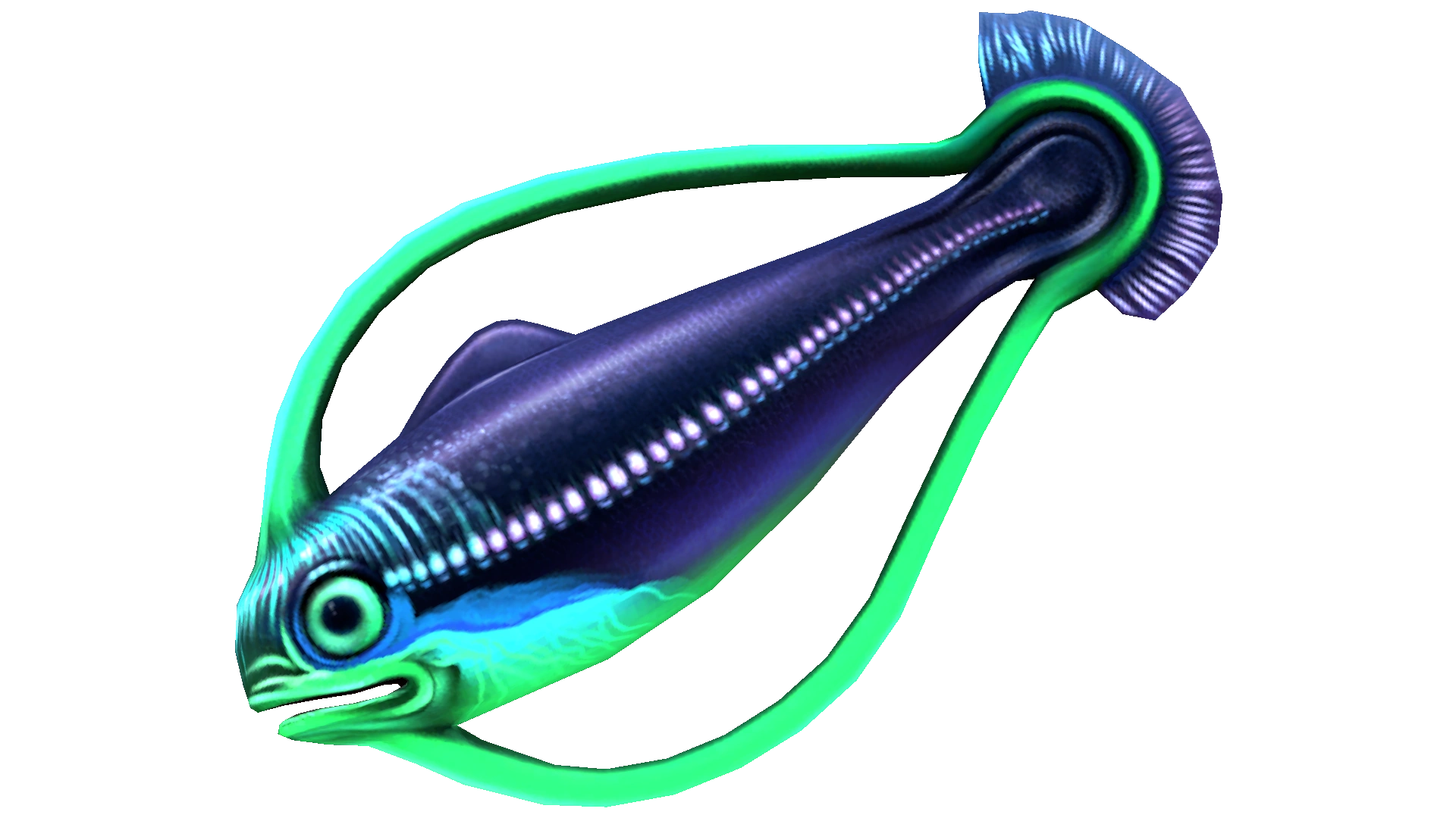 Hoopfish | Subnautica Wiki | Fandom
