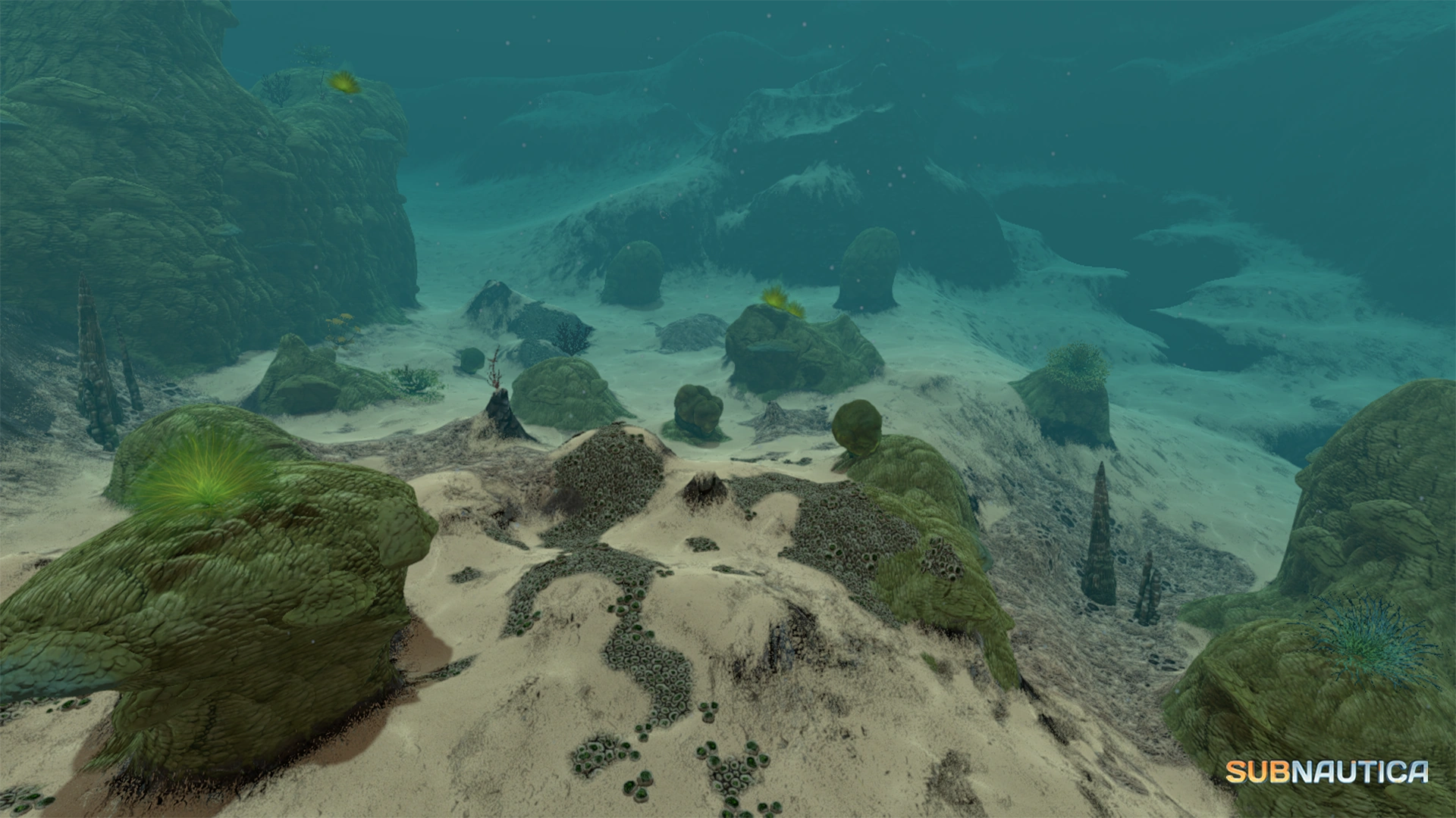 Image - Sparse Coral Zone 1.png | Subnautica Wiki | FANDOM powered by Wikia