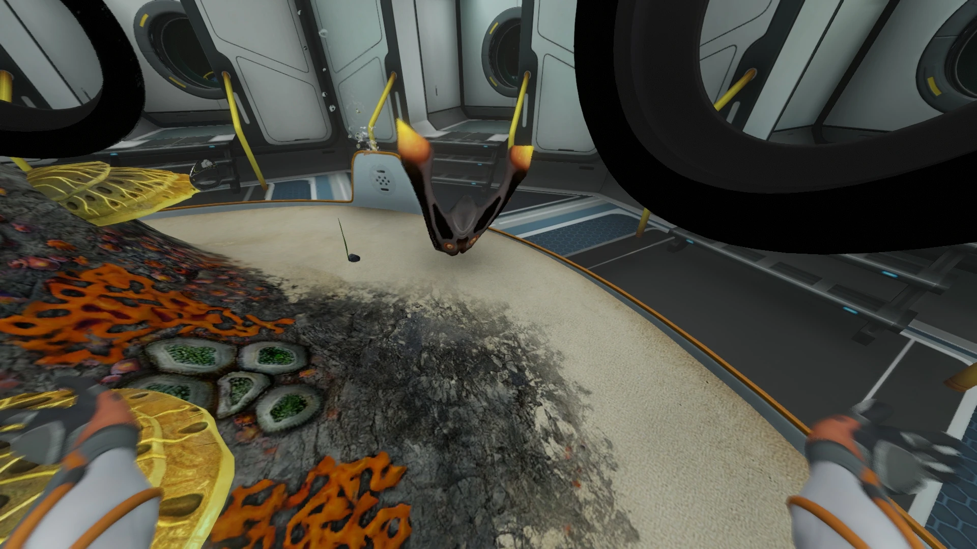 Magmarang | Wikia Subnautica | Fandom