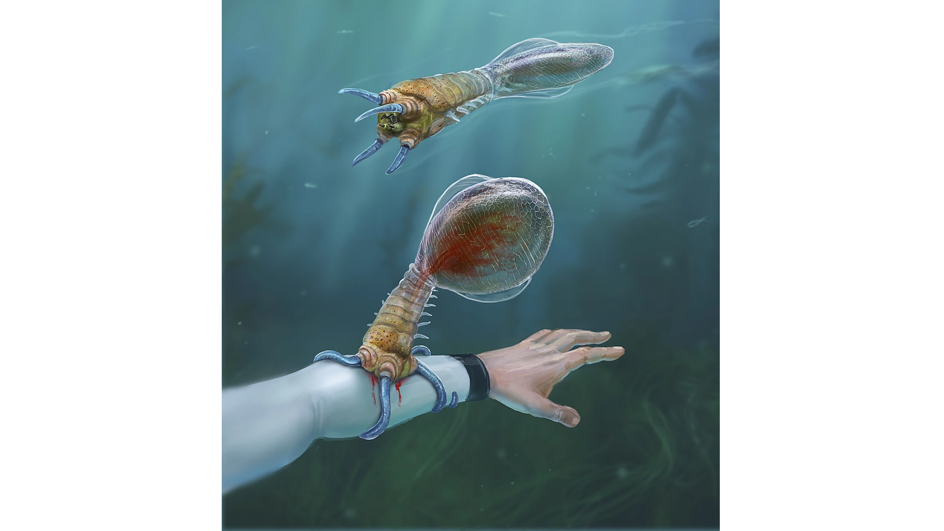 Sangsue | Wikia Subnautica | Fandom