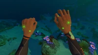 Kharaa Bacterium | Subnautica Wiki | Fandom