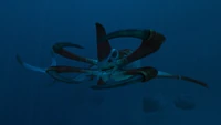 Reaper Leviathan | Subnautica Wiki | Fandom